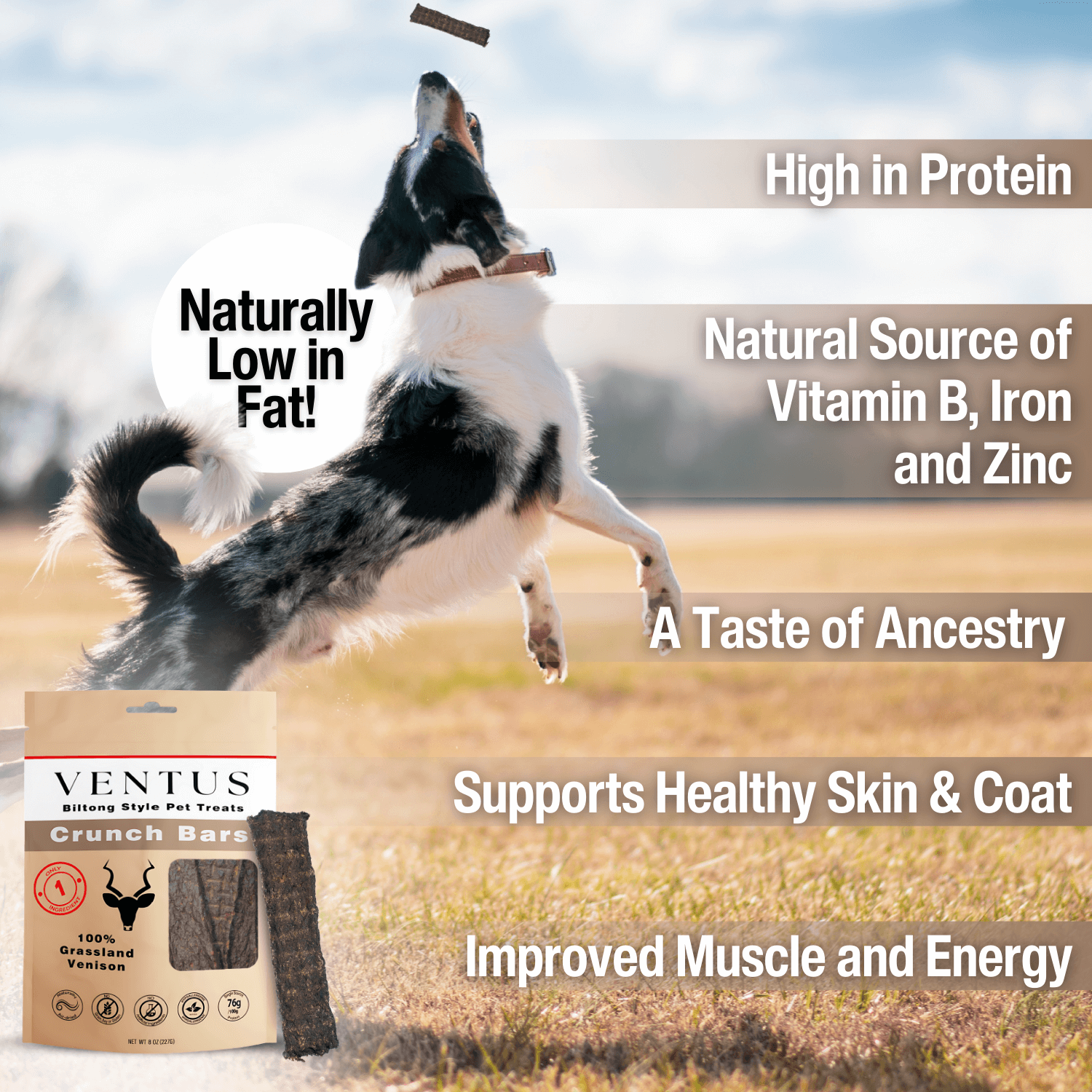 Crunchy dog treats | Ventus Crunch Bars | Ventus Pet Treats