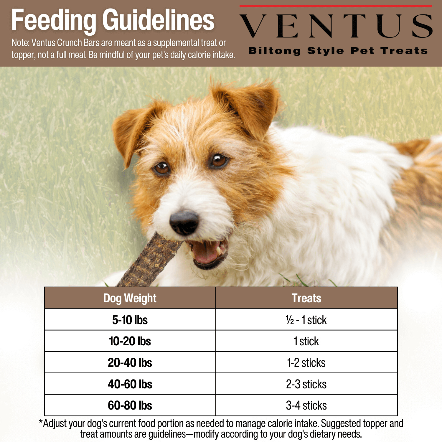 Crunchy dog treats | Ventus Crunch Bars | Ventus Pet Treats